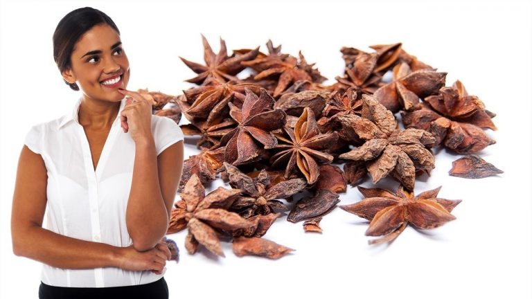 Infusión de anís ¡Beneficios y Propiedades! 【2019】