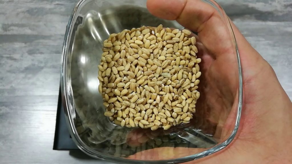 Infusión de cebada ¡Beneficios y Propiedades! 【2019】