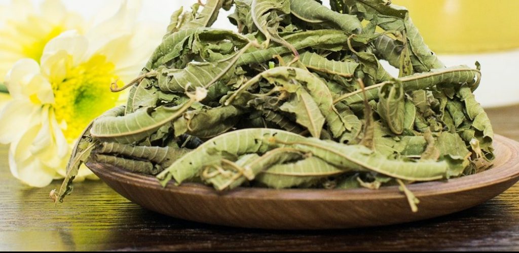 Infusión de verbena ¡Beneficios y Propiedades! 【2019】