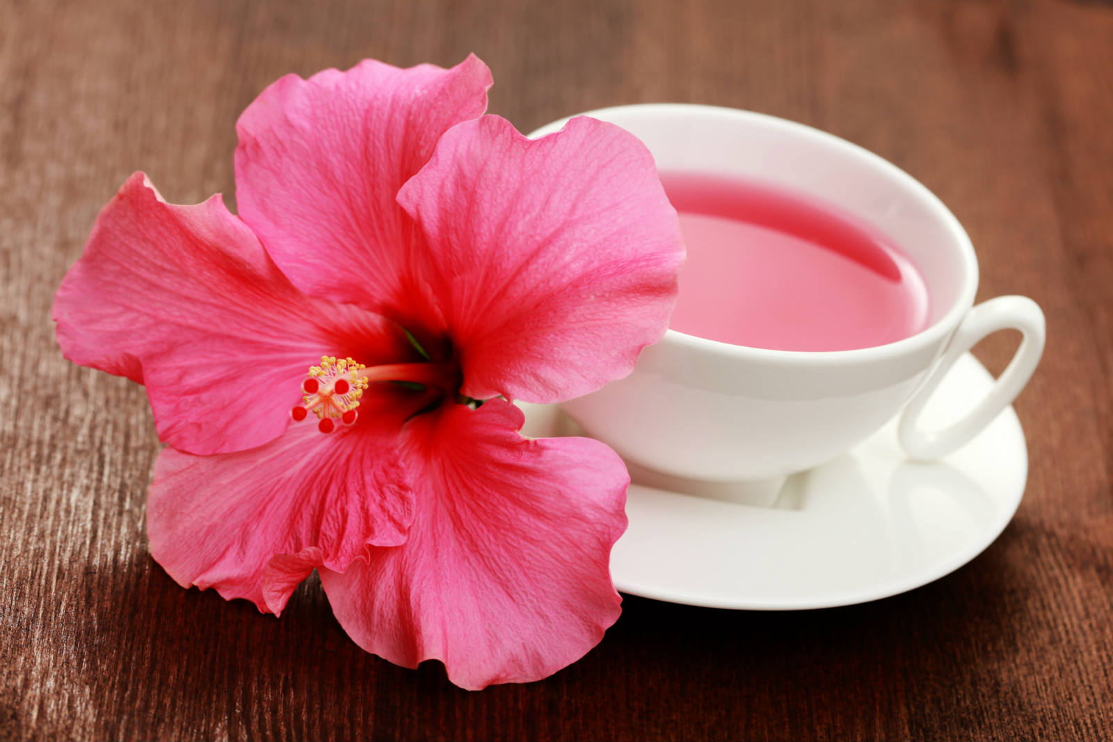 Hibiscus infusión ¡Beneficios y Propiedades! 【2019】