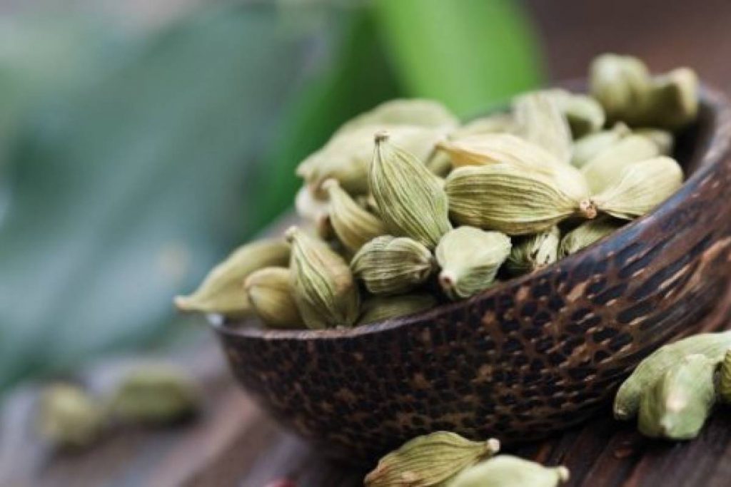 Infusión de cardomomo ¡Beneficios y Propiedades! 【2019】