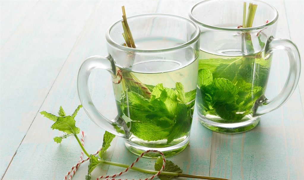 Infusión de menta ¡Beneficios y Propiedades! 【2019】