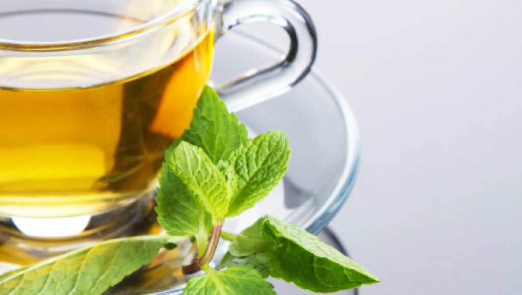 Infusión de menta ¡Beneficios y Propiedades! 【2019】