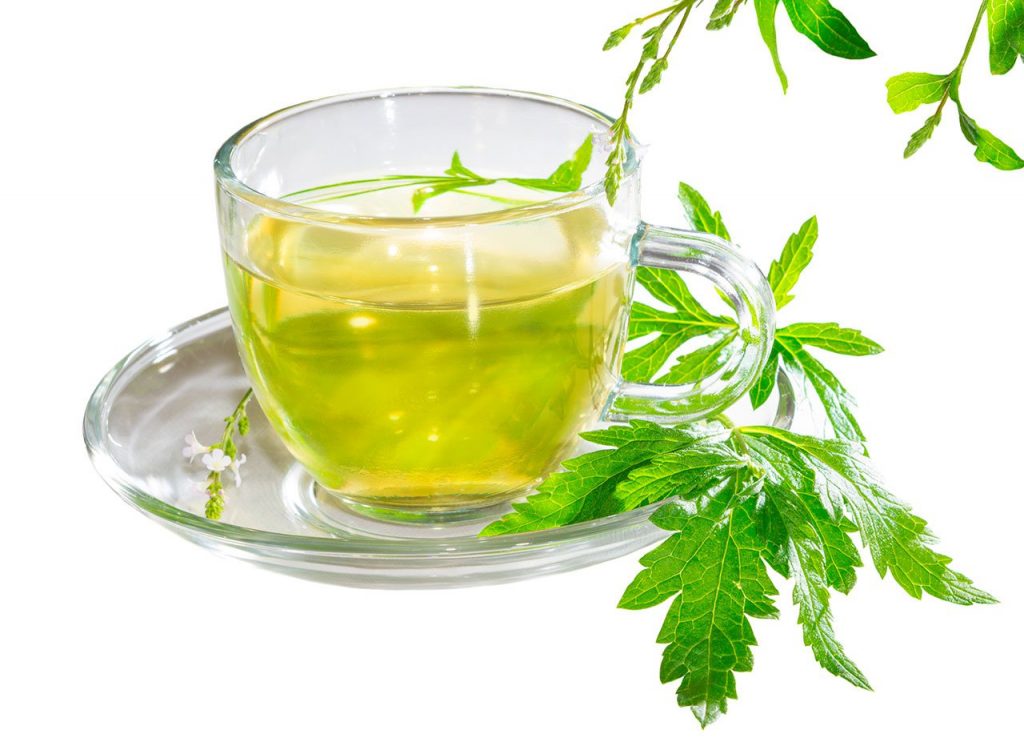 Infusión de verbena ¡Beneficios y Propiedades! 【2019】