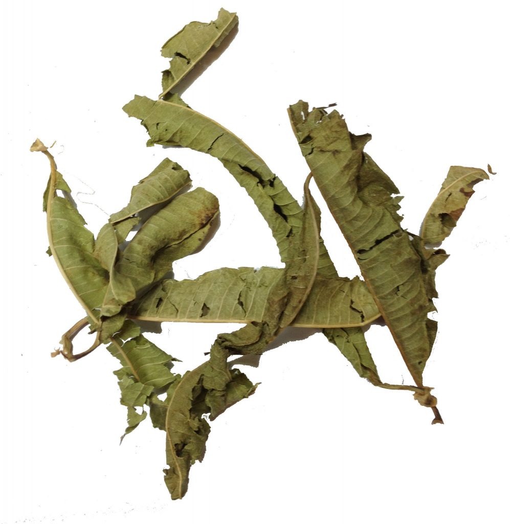 Infusión de verbena ¡Beneficios y Propiedades! 【2019】